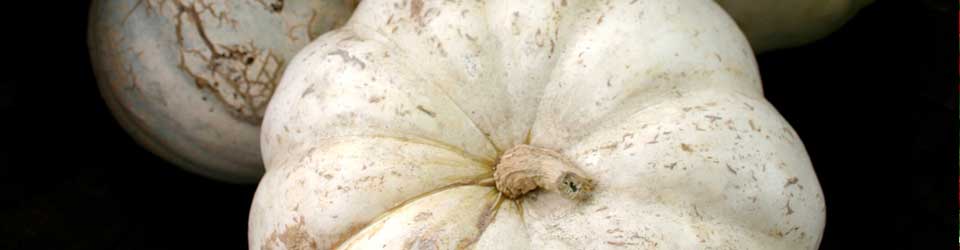 The N P K Of Fertilizer Ginger Valley the-n-p-k-of-fertilizer-ginger-valley